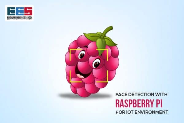 Face Detection With Raspberry Pi For IoT Environment